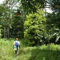 Nomade Aventure Guyane