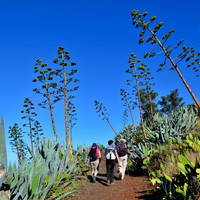 trek Madère avec Terres d'Aventure