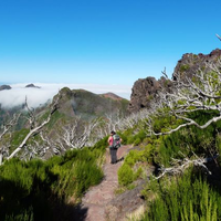 trek Madère avec Terres d'Aventure