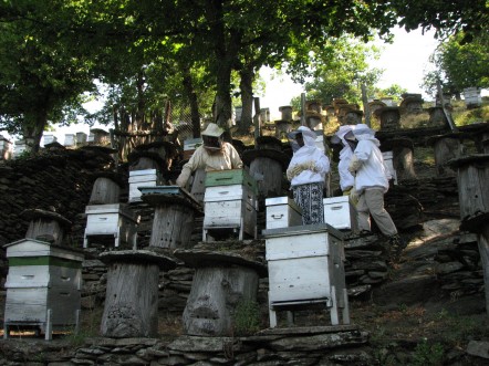 Randonnée solidaire dans les Cévennes ardéchoises