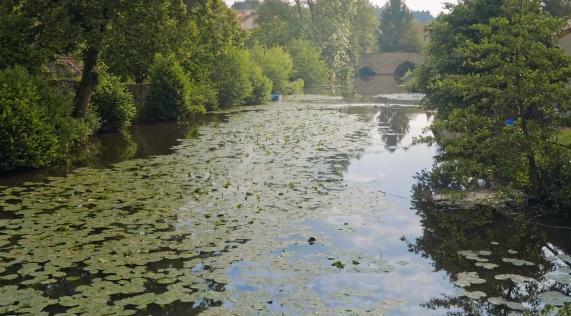 A la découverte de la vallée de la Moine