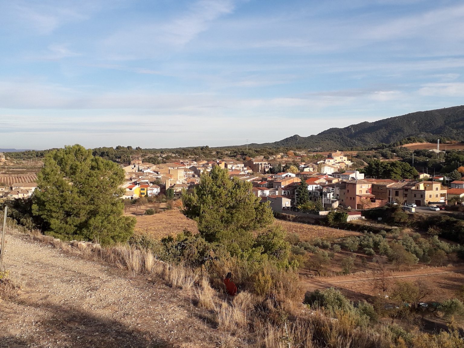 Au pays de l’or jaune : Les Garrigues, dépaysement garanti au cœur de ...
