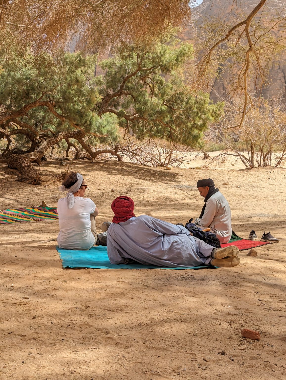 Séjour dans le Grand Sud Algérien : Périple au cœur du Tassili N'Ajjer